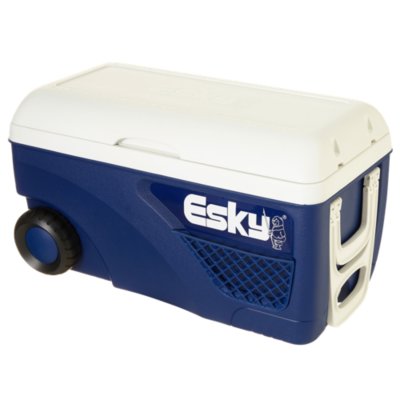 Esky Coolers, Ice Boxes and Ice Packs | Esky