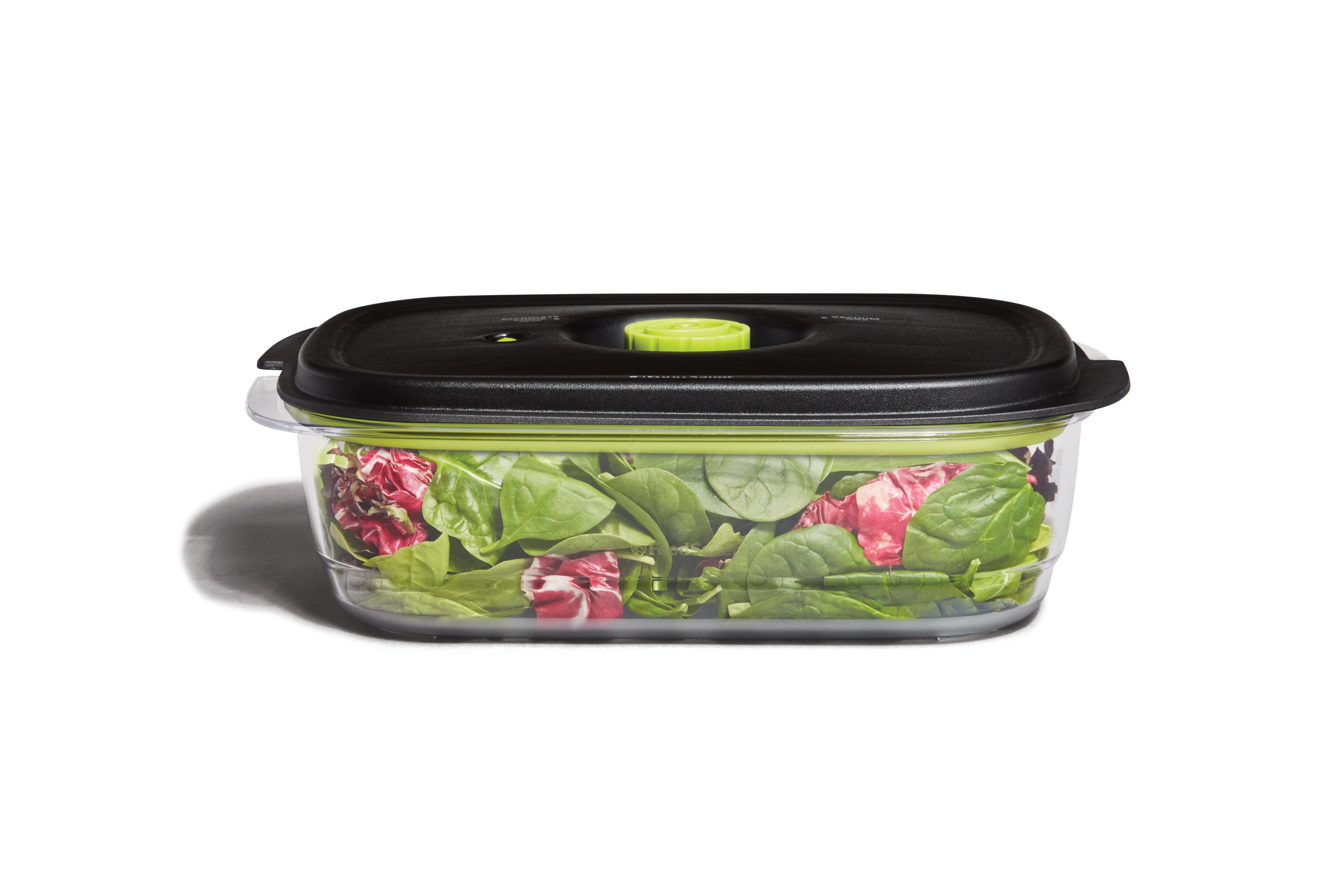 Foodsaver Marinator Containers