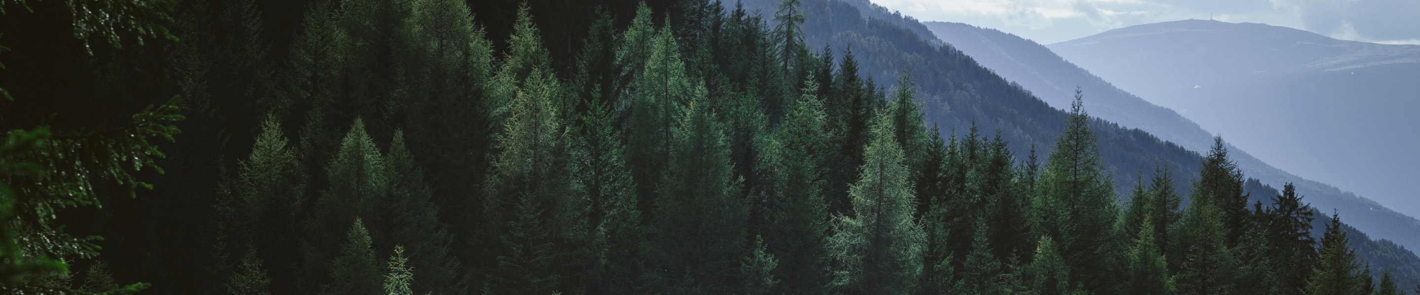 Our Story | Coleman CA